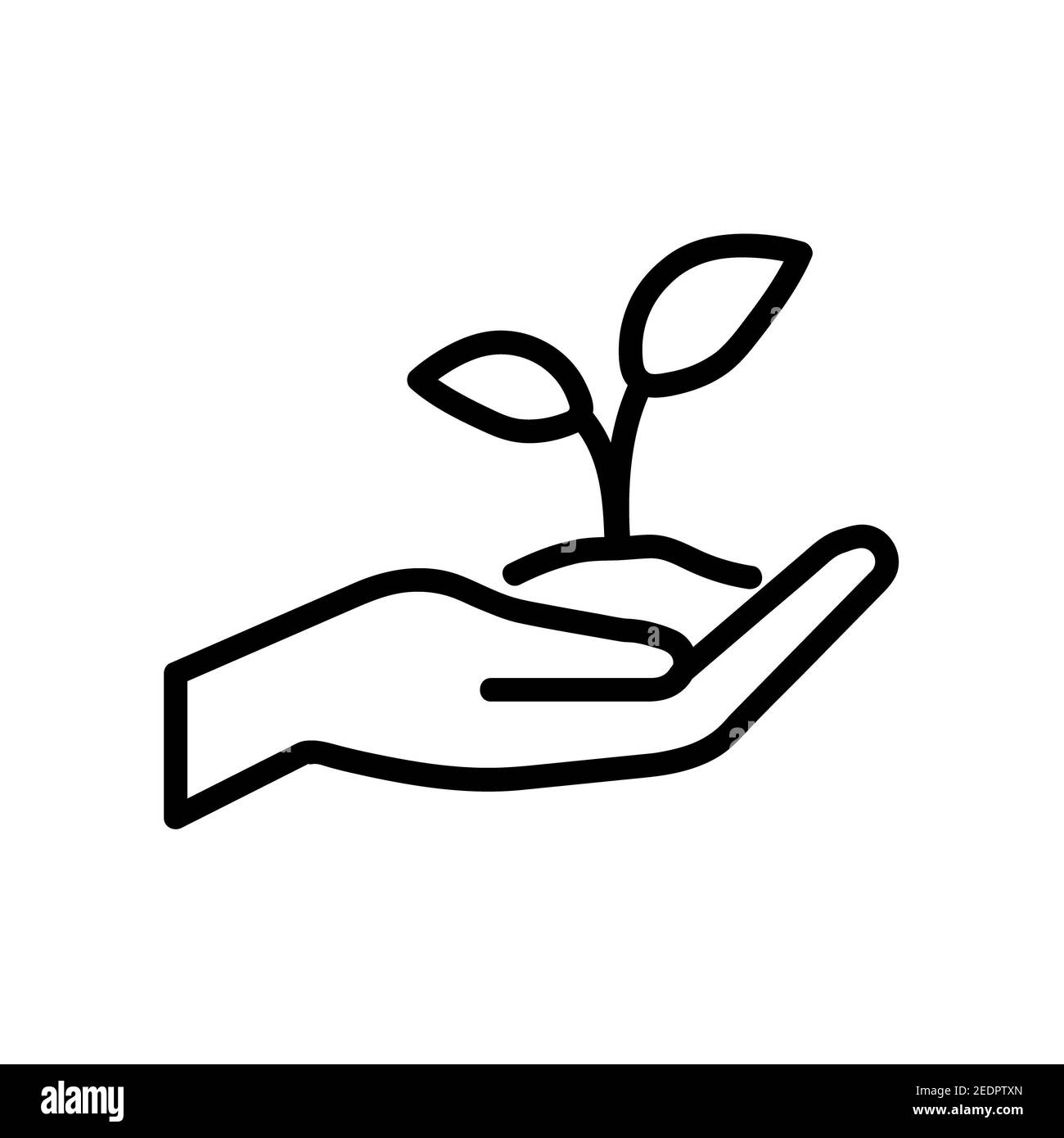 Icona pianta in mano piatta. Pittogramma per il Web. Tratto di linea ...