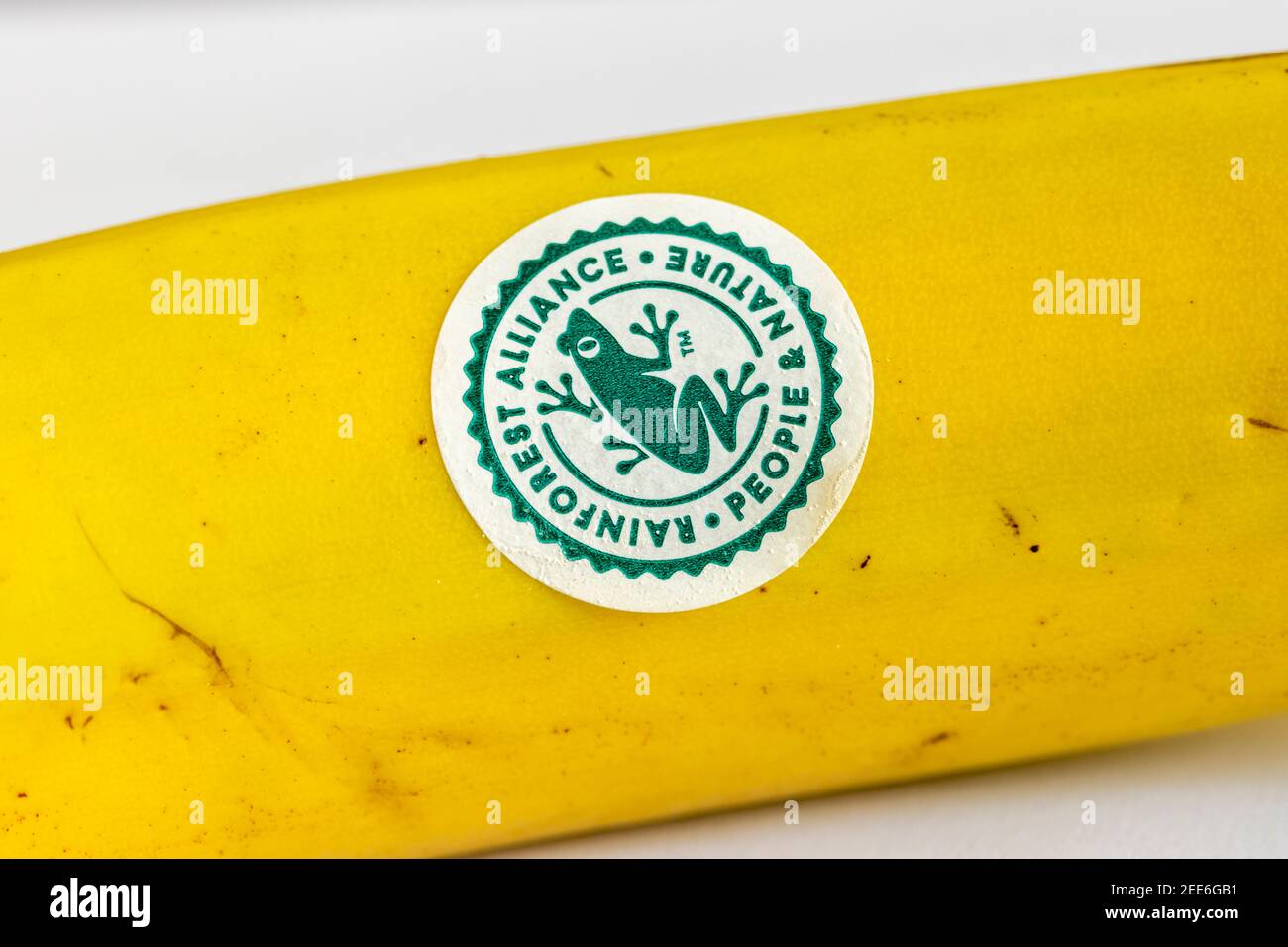 Adesivo su una banana: 'Rainforest Alliance, People & Nature' con il ...
