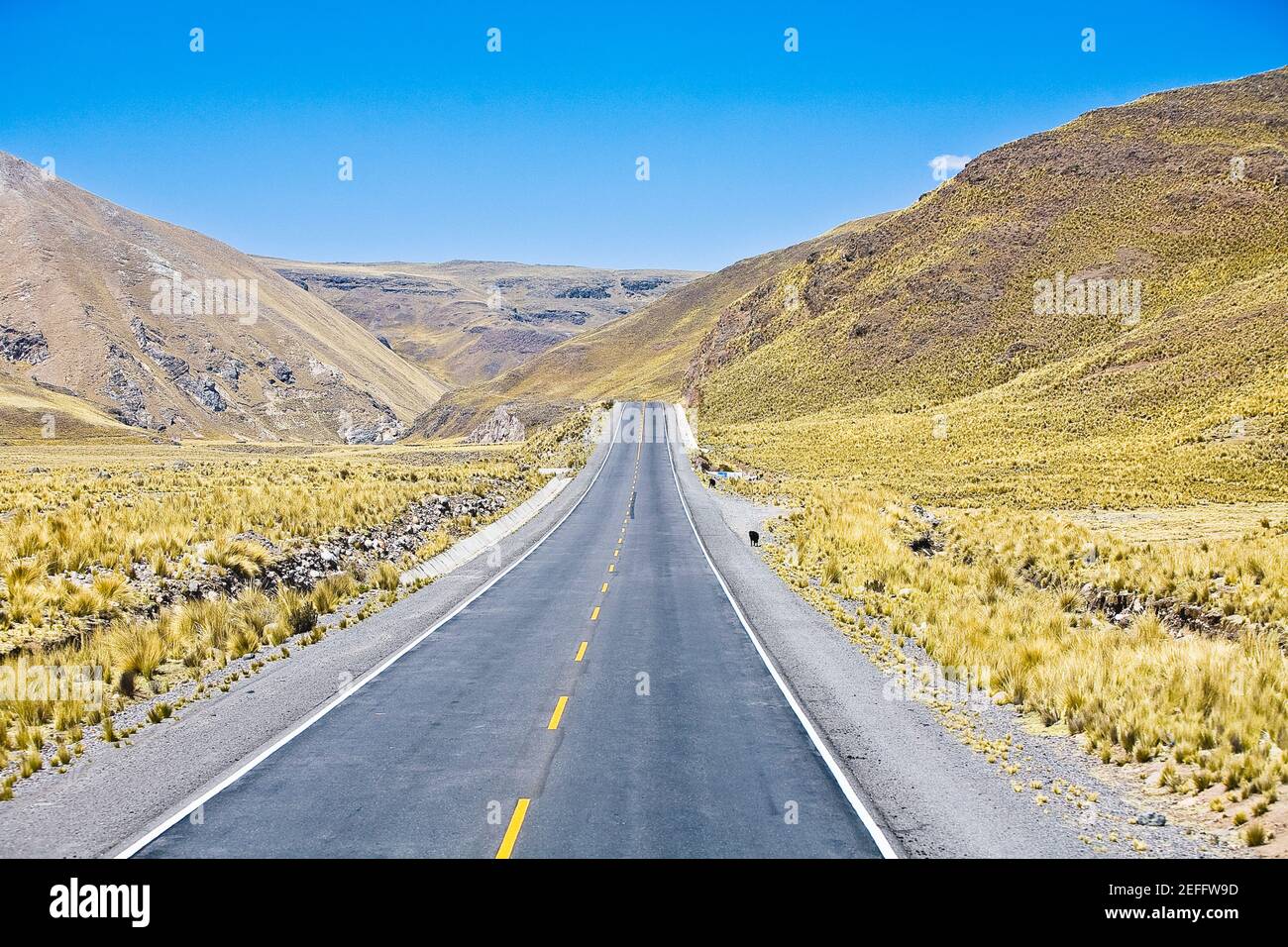 Viaggio Arequipa Immagini e Fotos Stock - Alamy