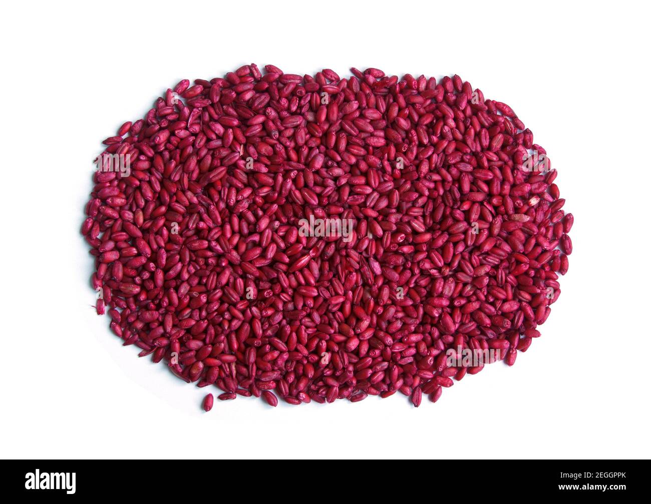 Veleno per topi immagini e fotografie stock ad alta risoluzione - Alamy