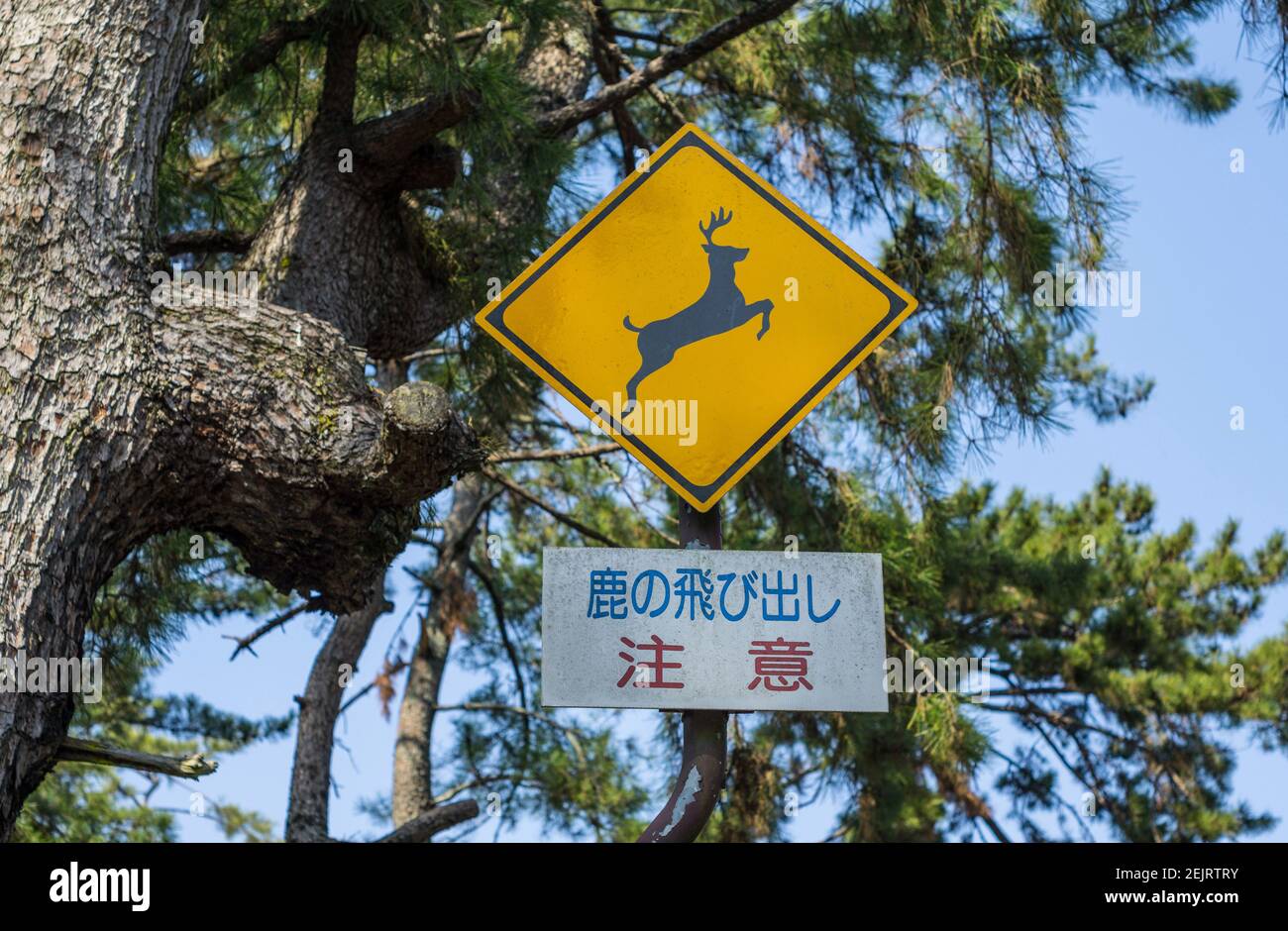 Legge giapponese immagini e fotografie stock ad alta risoluzione - Alamy