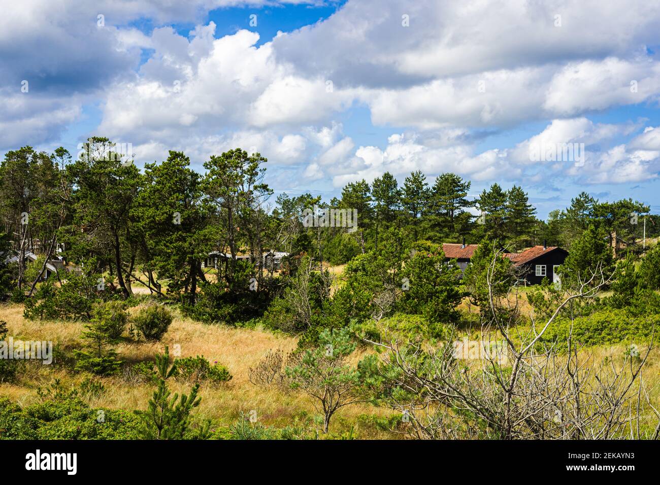 Mappa verde danese immagini e fotografie stock ad alta risoluzione - Alamy