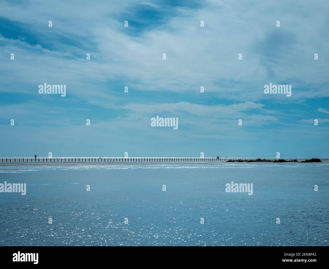 Delta del rodano immagini e fotografie stock ad alta risoluzione - Alamy