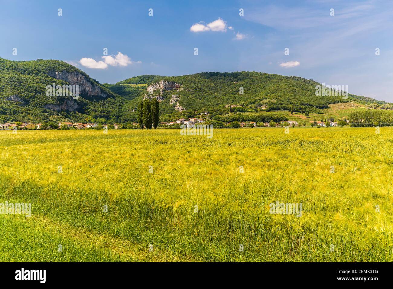 Colli berici immagini e fotografie stock ad alta risoluzione - Alamy