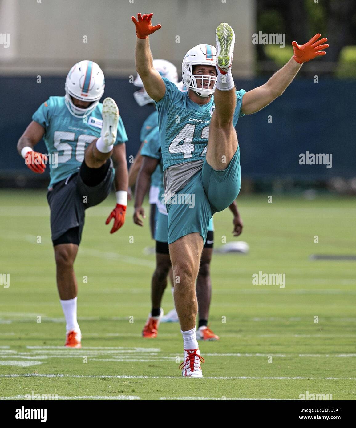 Miami Delfini fuori linebacker Kiko Alonso (47) Esercizi durante la ...