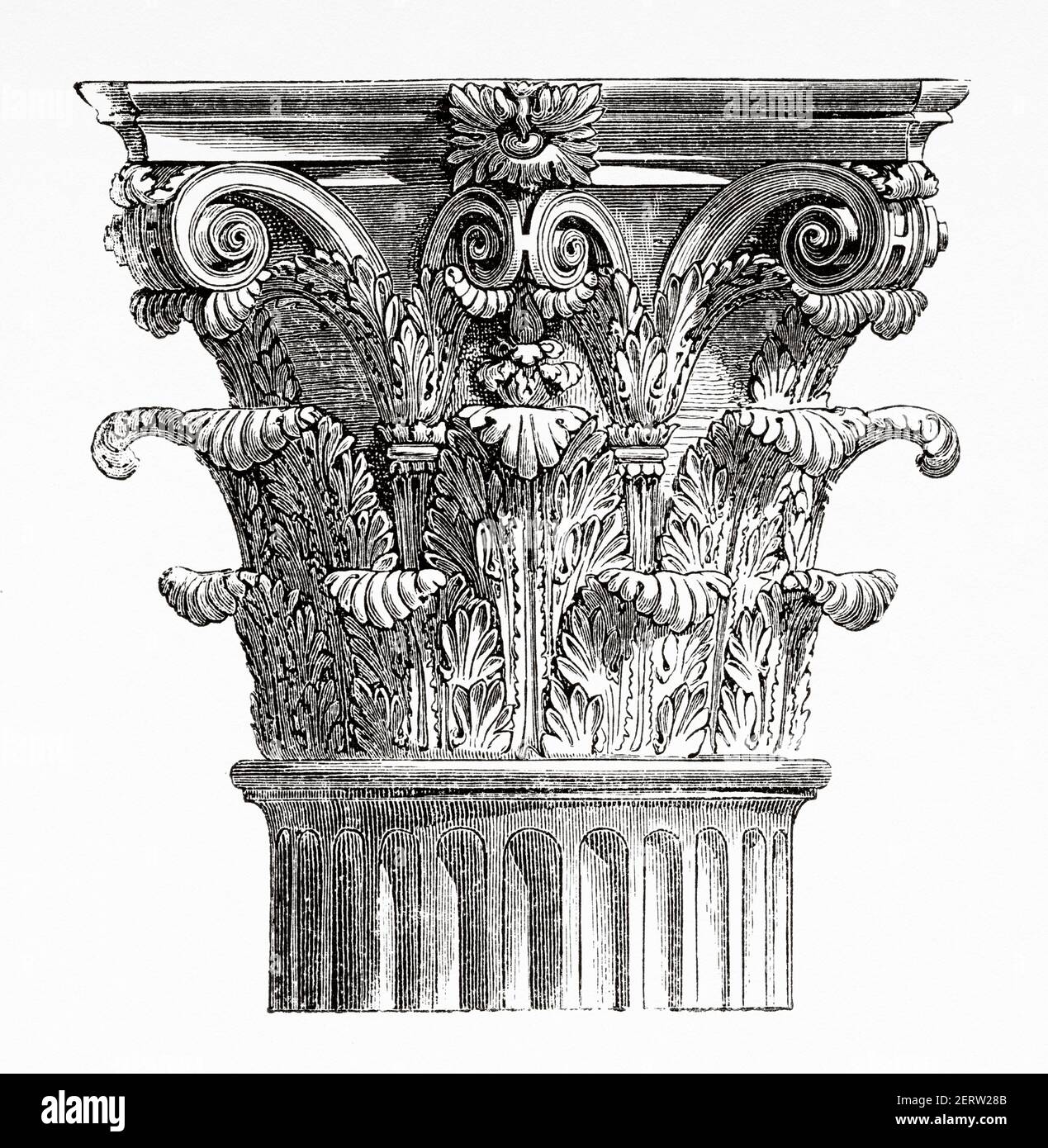 Capitello corinzio disegno immagini e fotografie stock ad alta ...