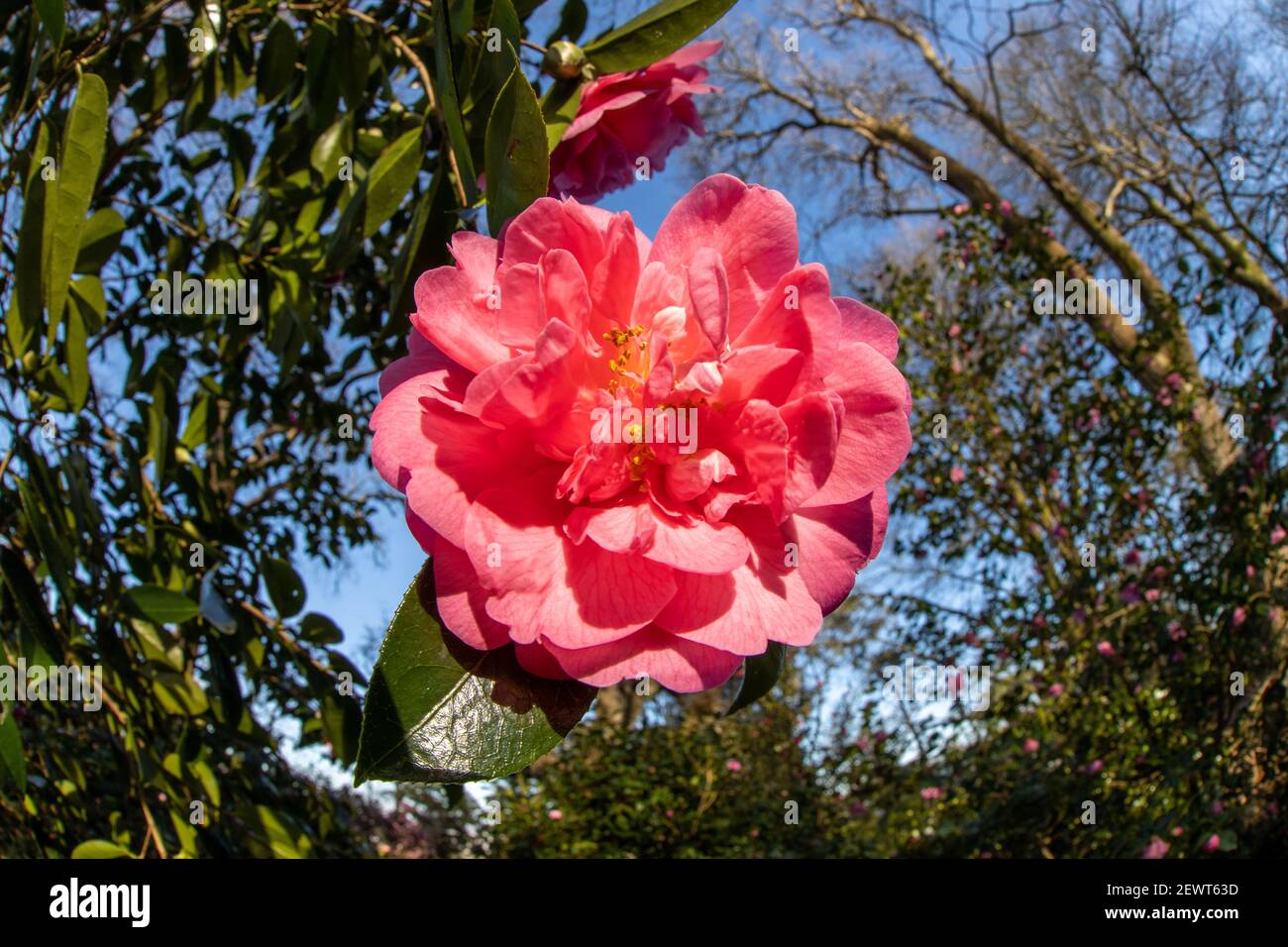 Edgecombe park immagini e fotografie stock ad alta risoluzione - Alamy
