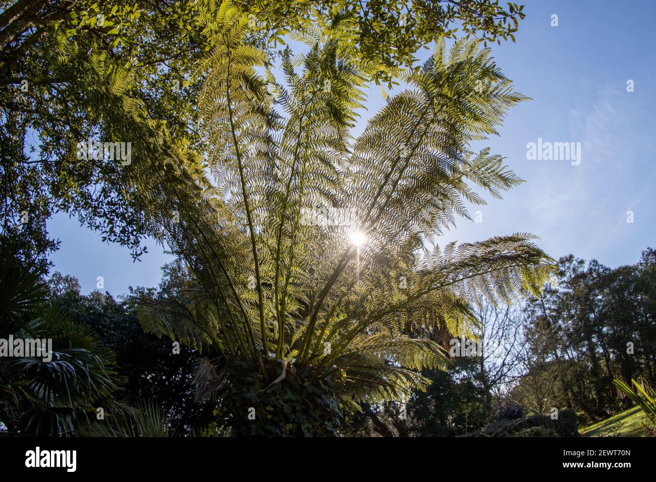 Edgecombe park immagini e fotografie stock ad alta risoluzione - Alamy