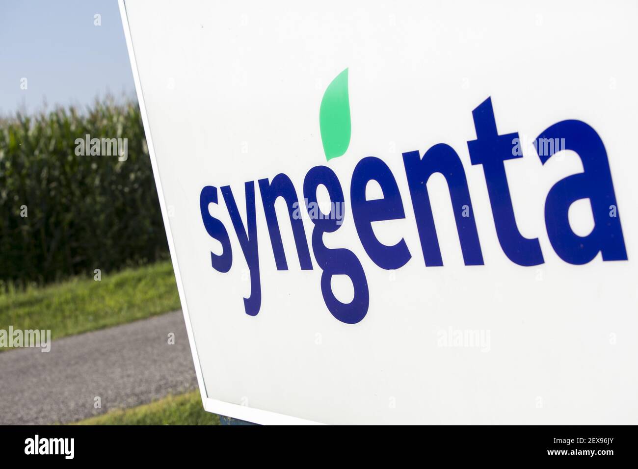Syngenta ag Immagini e Fotos Stock - Alamy