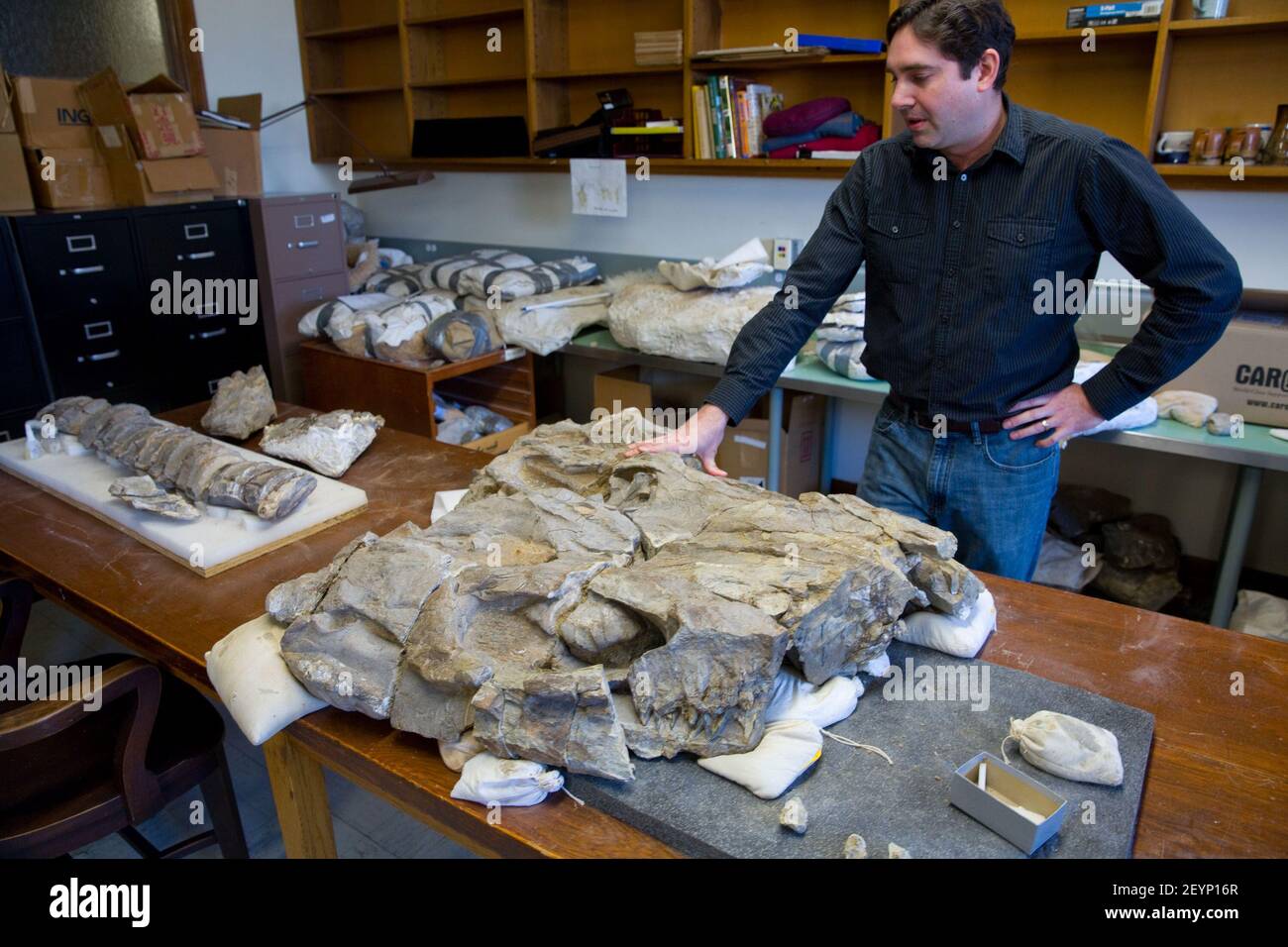 Lo scienziato del Field Museum James Holstein appoggia la sua mano su ...