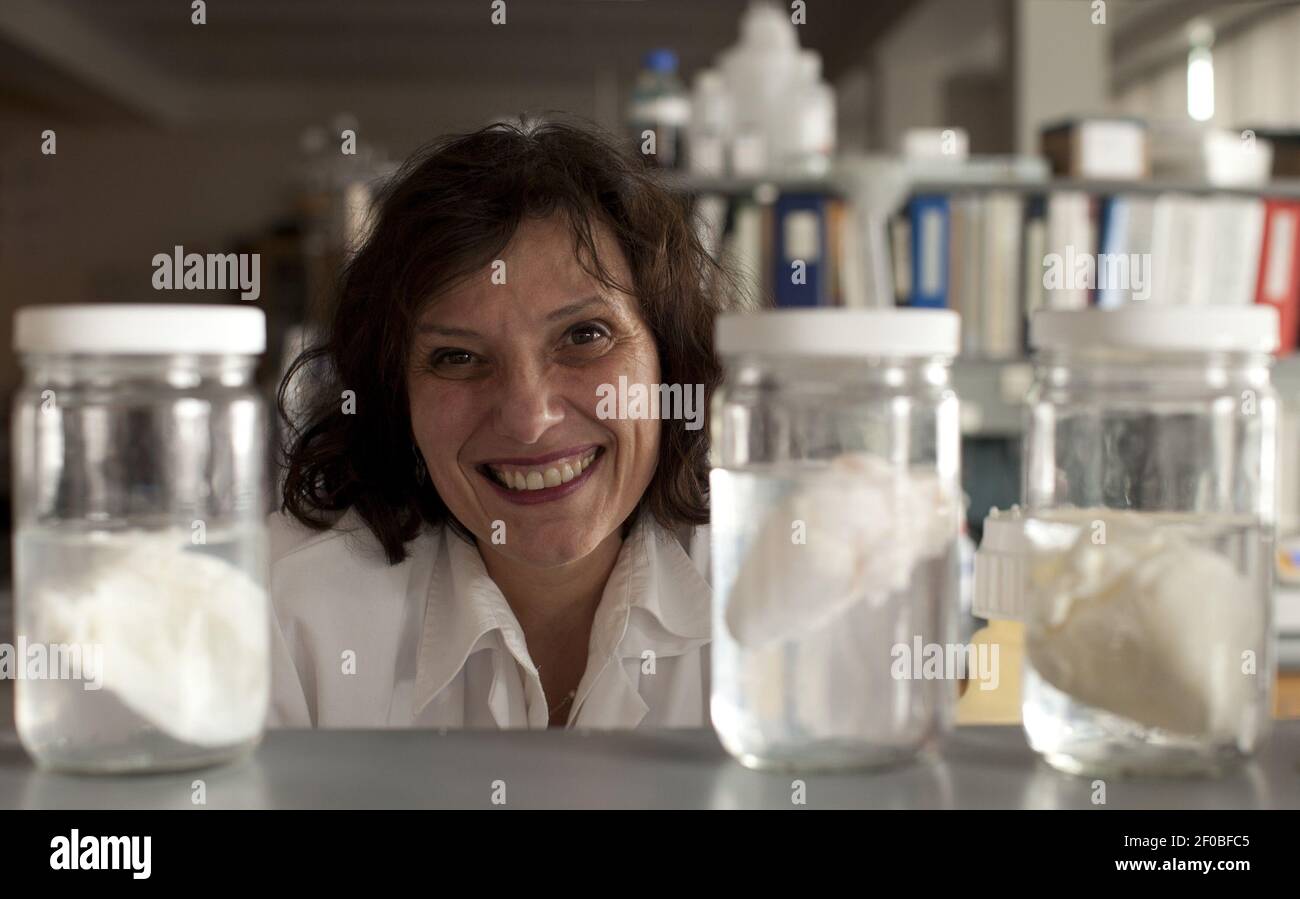 La dott.ssa Doris Taylor pone per ritratto nel suo laboratorio all ...