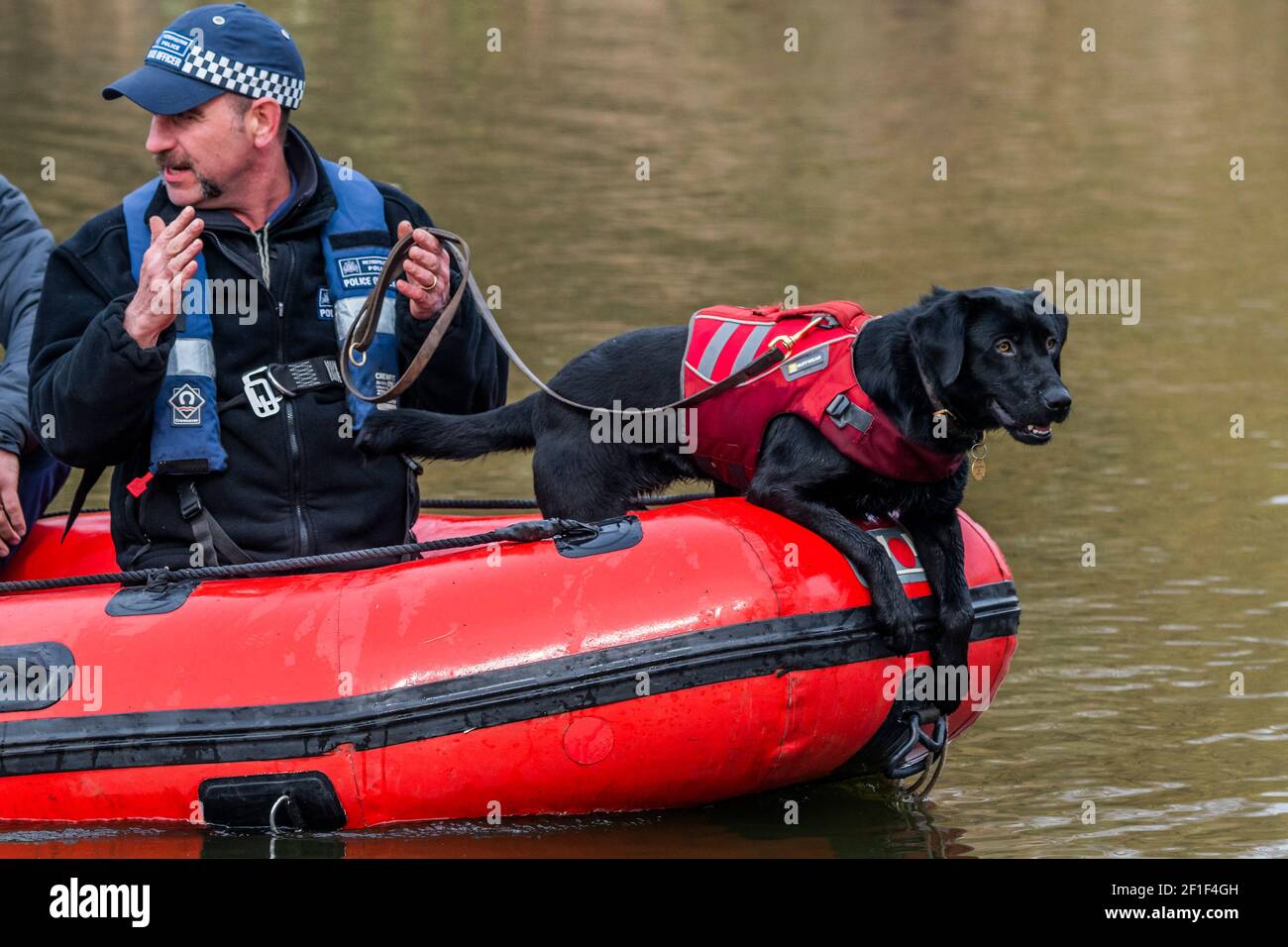 Londra, Regno Unito. 8 Marzo 2021. Una barca di polizia con un cane da ...