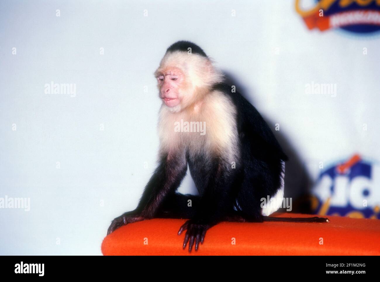 Friends tv show immagini e fotografie stock ad alta risoluzione - Alamy