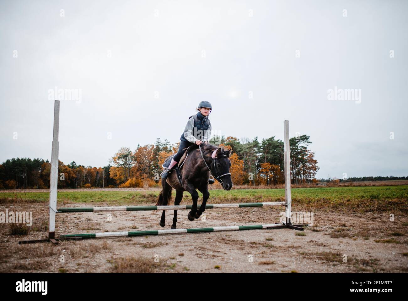 Salta a cavallo immagini e fotografie stock ad alta risoluzione - Alamy
