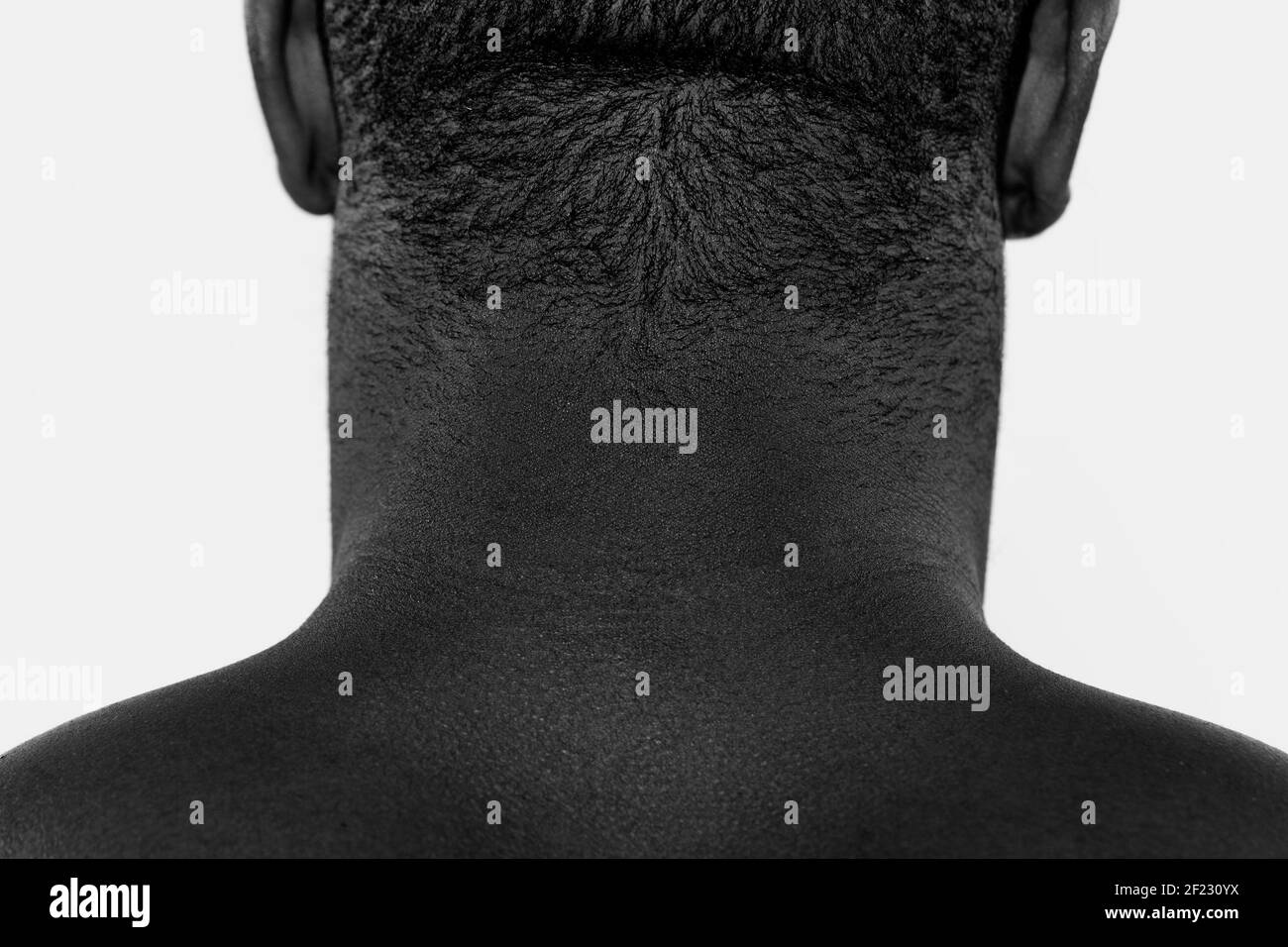 Anatomia del collo foto immagini e fotografie stock ad alta risoluzione ...