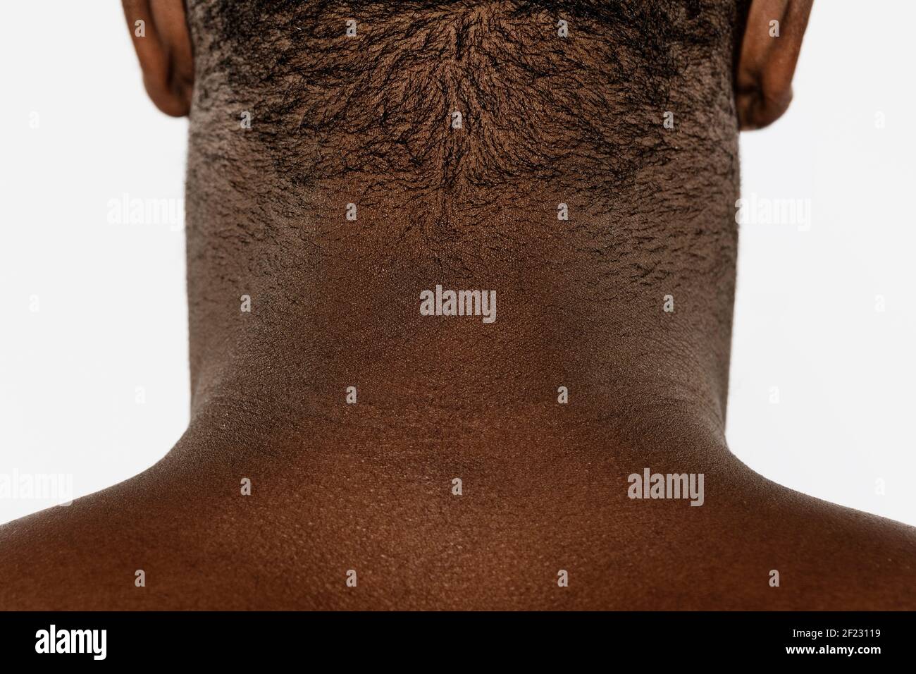 Anatomia del collo foto immagini e fotografie stock ad alta risoluzione ...