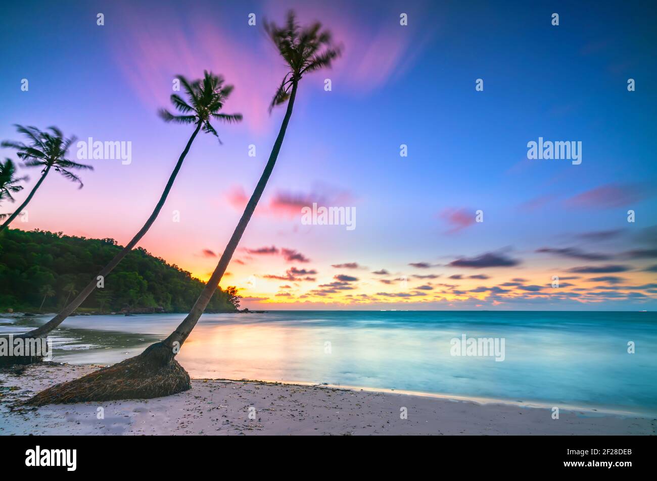 Isola Di Palme Immagini e Fotos Stock - Alamy