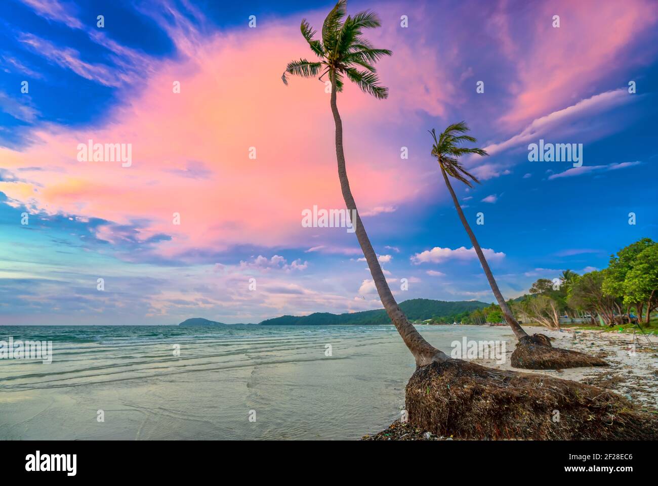 Isola Di Palme Immagini e Fotos Stock - Alamy