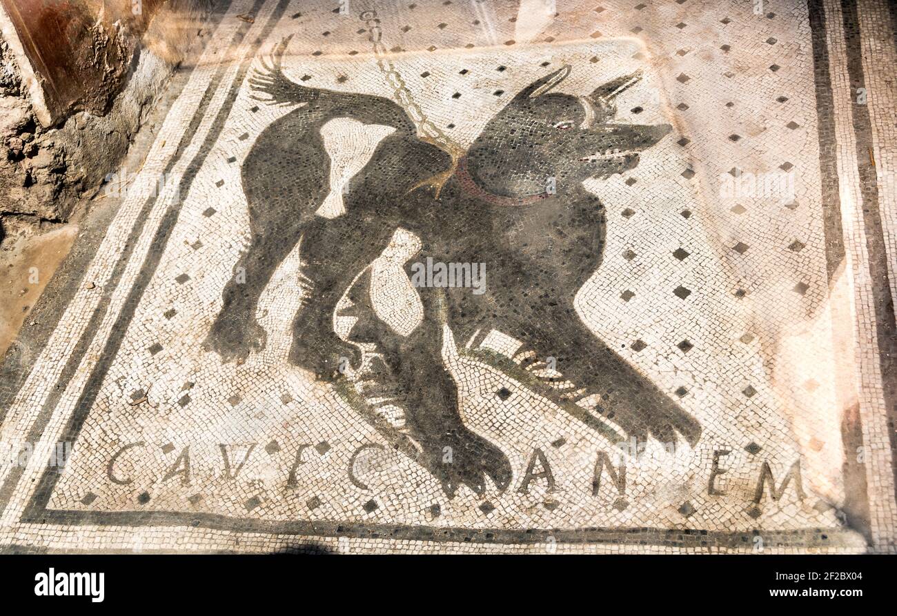 Italy pompeii cave canem immagini e fotografie stock ad alta ...
