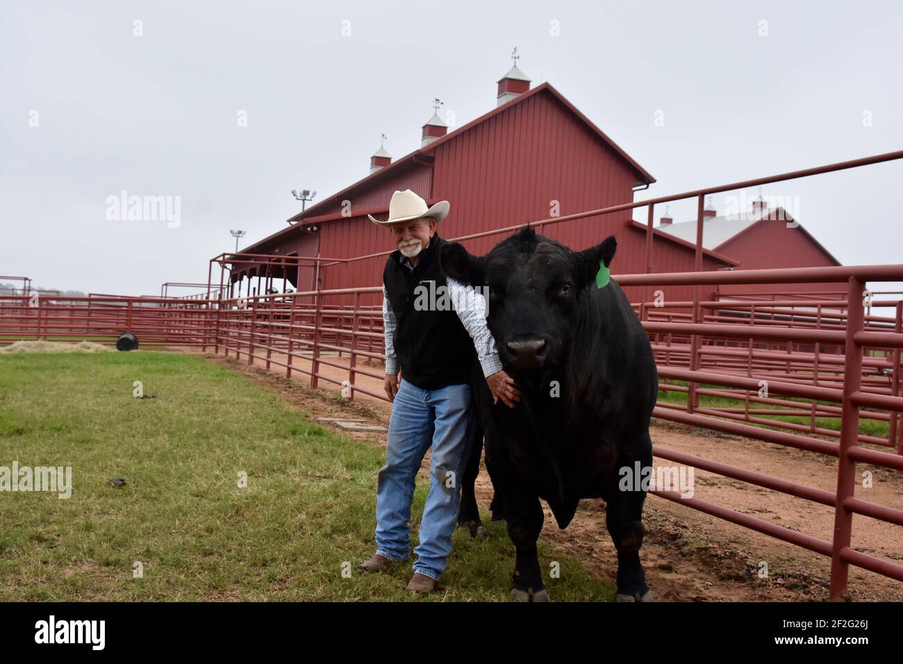 Angus cameron immagini e fotografie stock ad alta risoluzione - Alamy