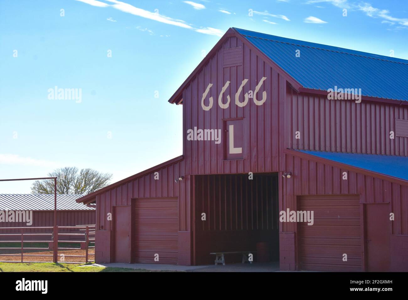 Genealogici cavalli immagini e fotografie stock ad alta risoluzione - Alamy