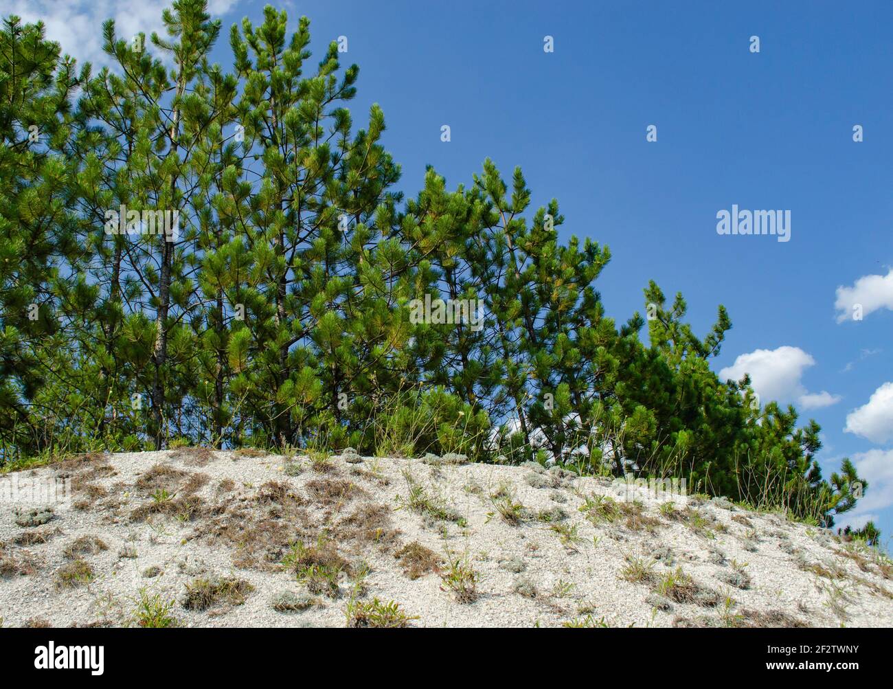 Uch kosh immagini e fotografie stock ad alta risoluzione - Alamy