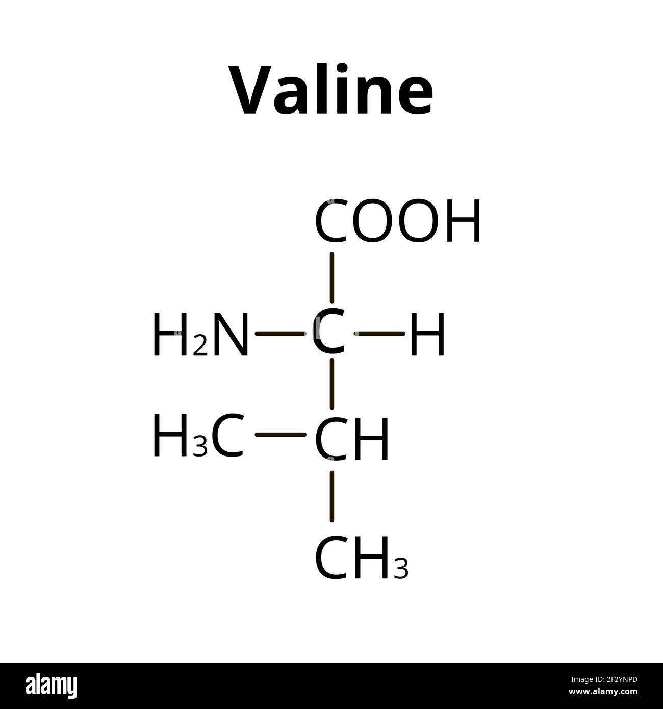 Valina aminoacido. Formula molecolare chimica dell'aminoacido valinico ...