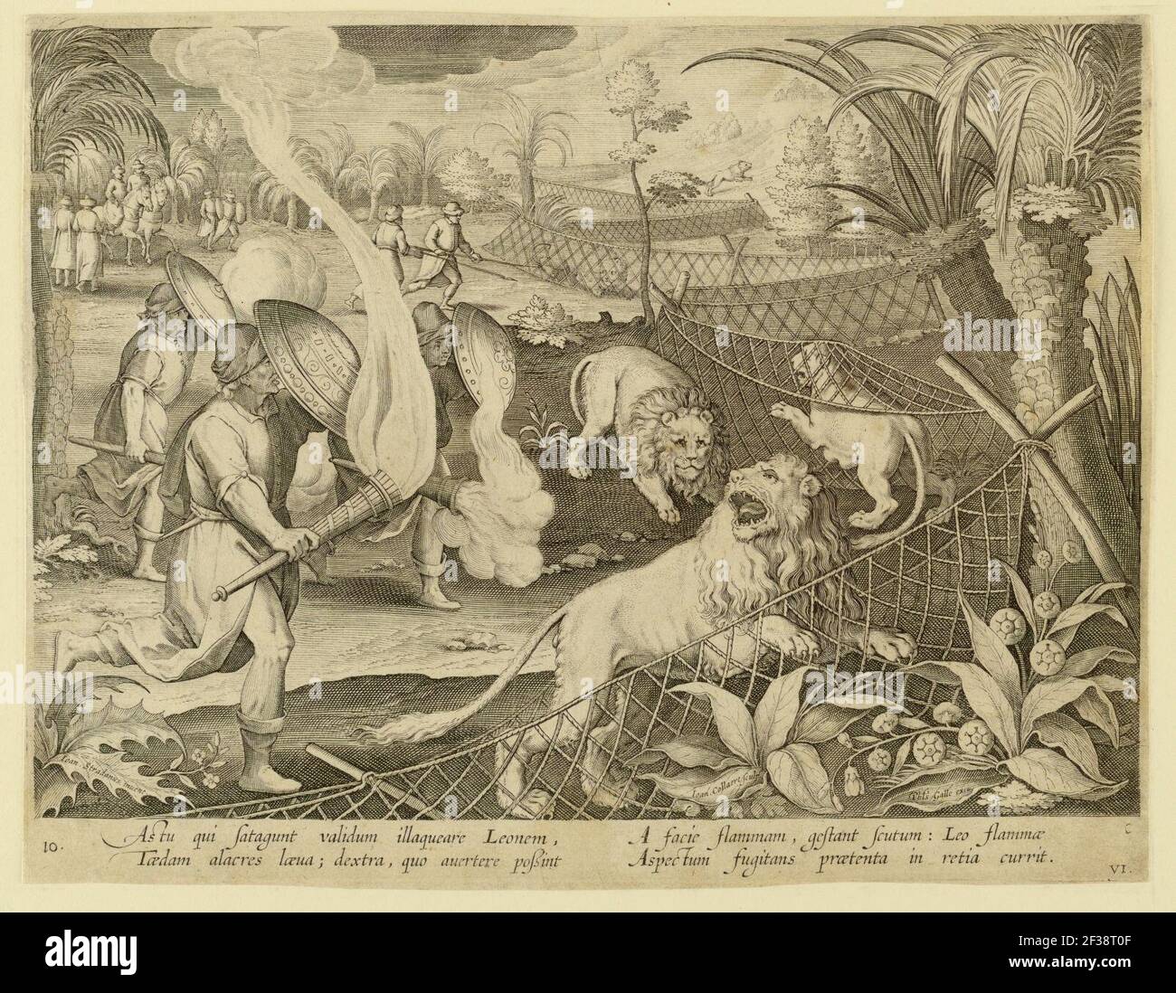 Trappola per leoni immagini e fotografie stock ad alta risoluzione - Alamy