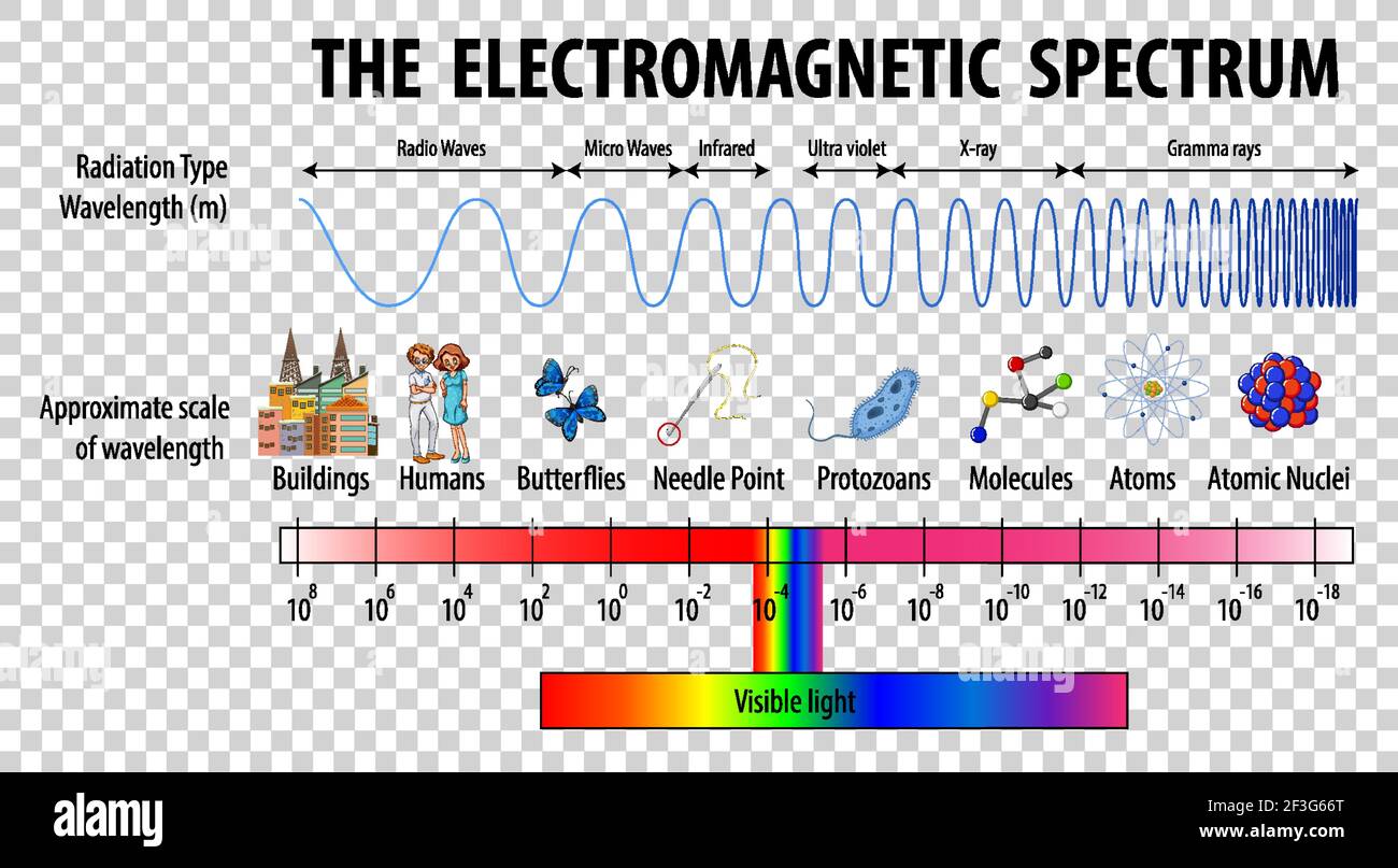 Diagramma dello spettro elettromagnetico scientifico su sfondo ...