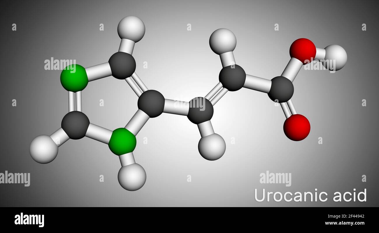 Molecola di acido urocanico. È prodotto intermedio nel metabolismo dell ...
