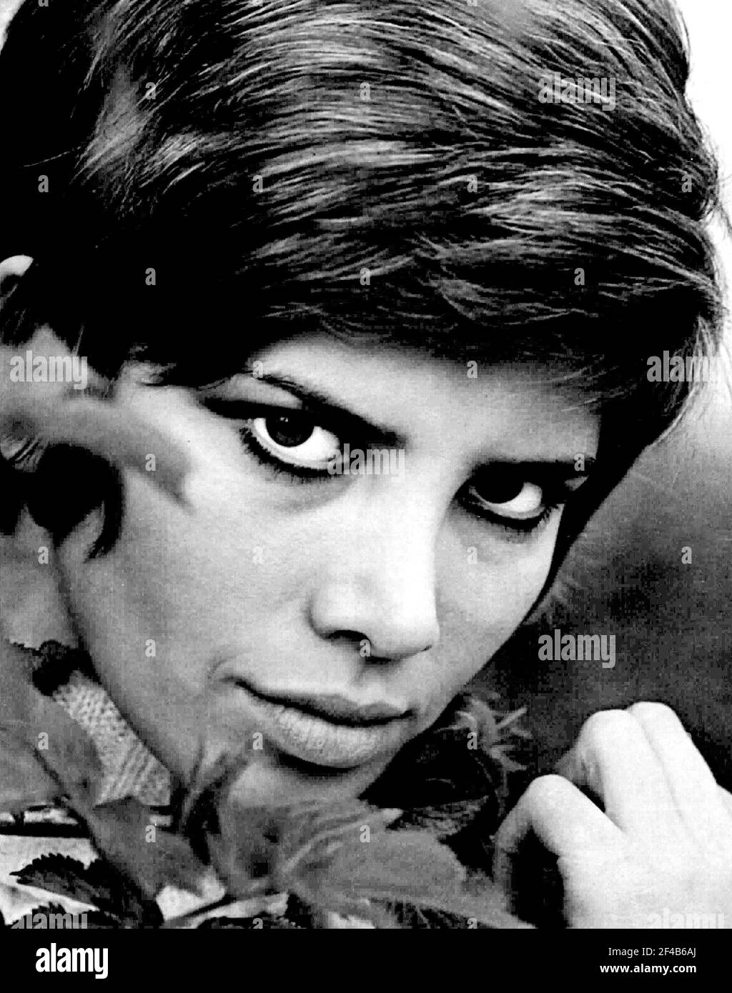 Attrice laura belli immagini e fotografie stock ad alta risoluzione - Alamy