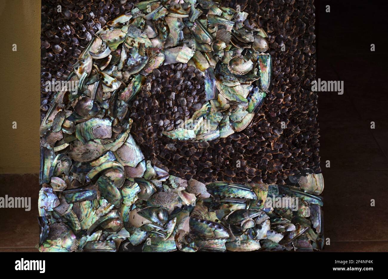 Maori koru symbol immagini e fotografie stock ad alta risoluzione - Alamy
