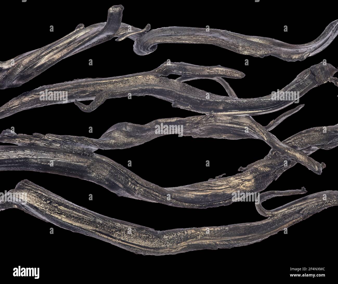 Il disprosio è un elemento chimico con il simbolo Dy e il numero ...