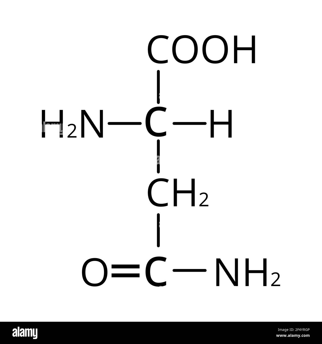 L'asparagina è un amminoacido. Formula chimica molecolare l'asparagina ...