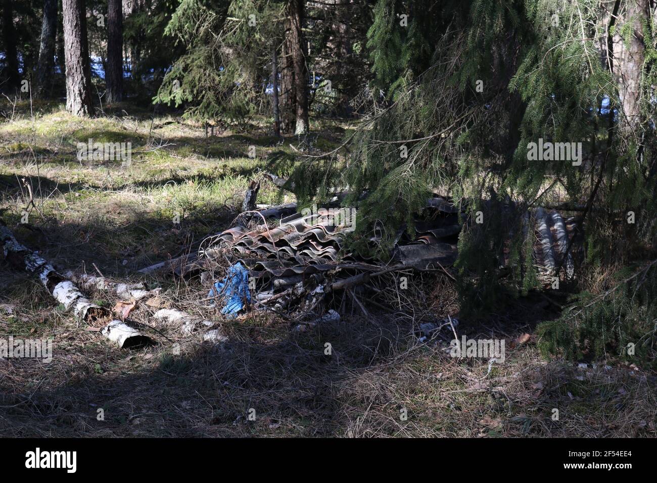 Inquinamento foresta immagini e fotografie stock ad alta risoluzione - Alamy