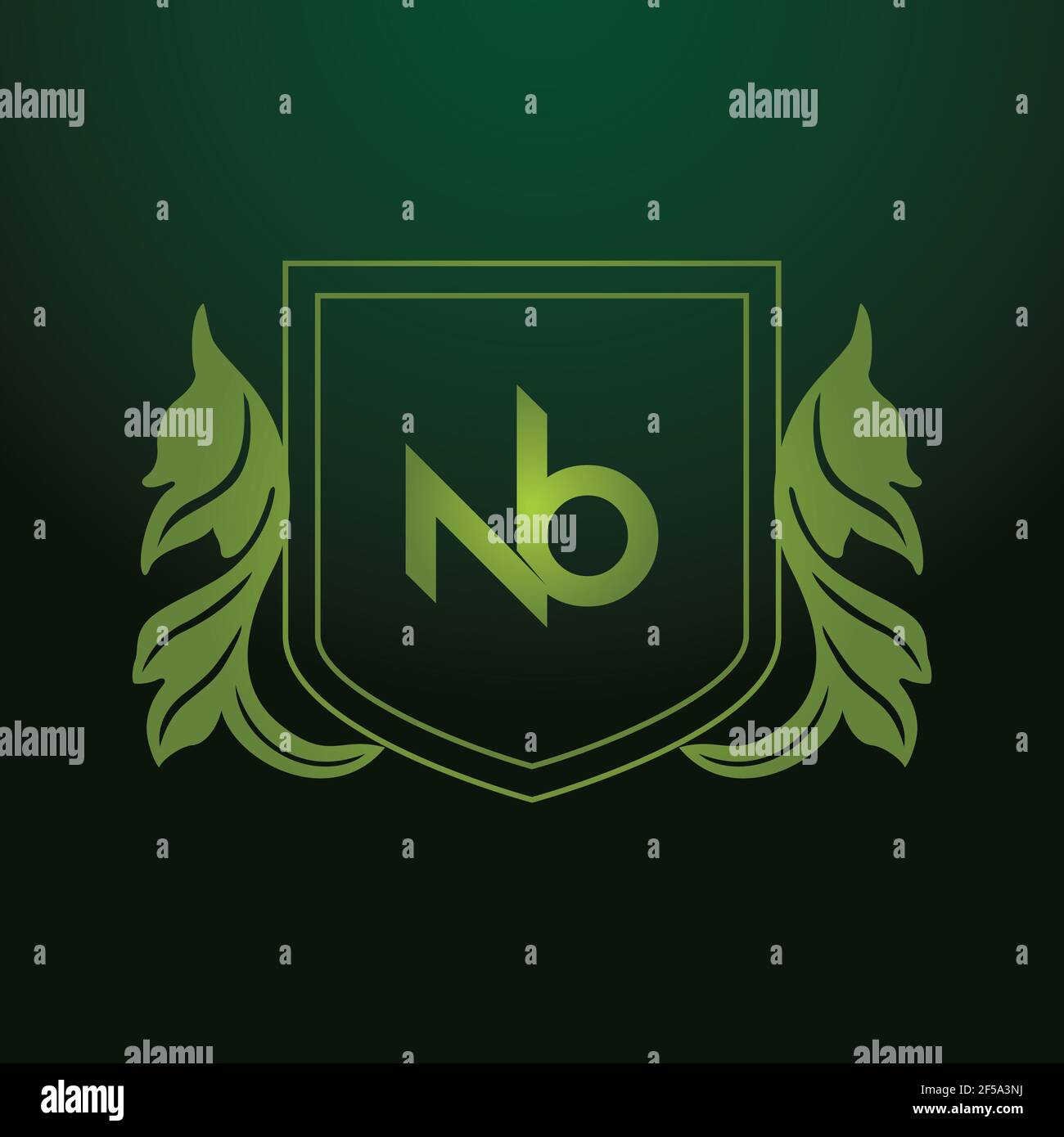 Innovativo logo NB iniziale professionale e logo BN. Lettera BN NB ...