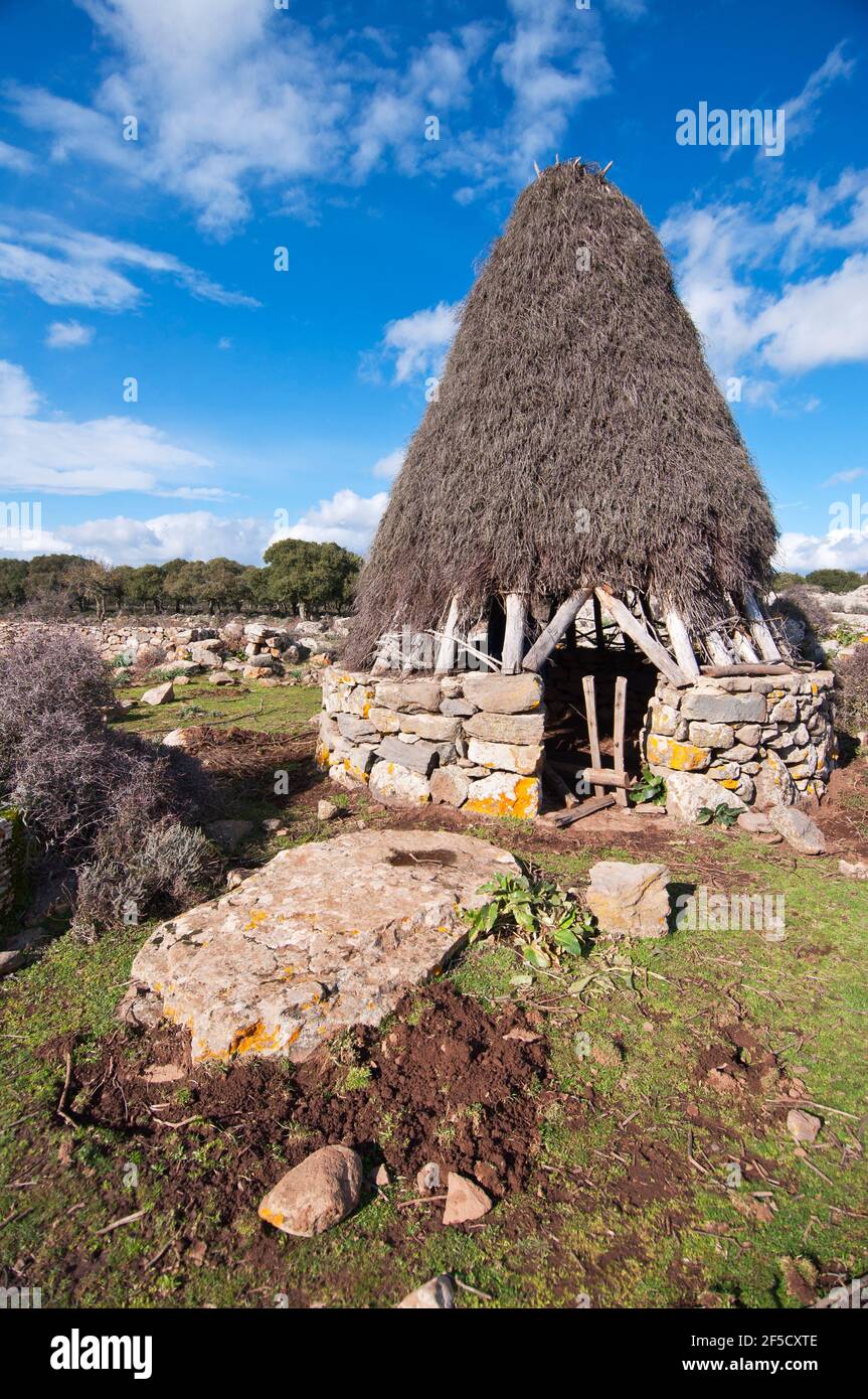 Ovile sardegna immagini e fotografie stock ad alta risoluzione - Alamy