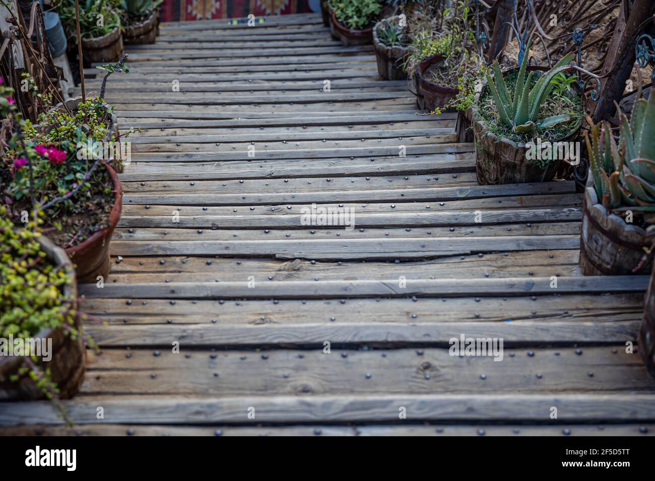 Vaso Per Piante Sui Gradini Del Giardino Immagini e Fotos Stock - Alamy