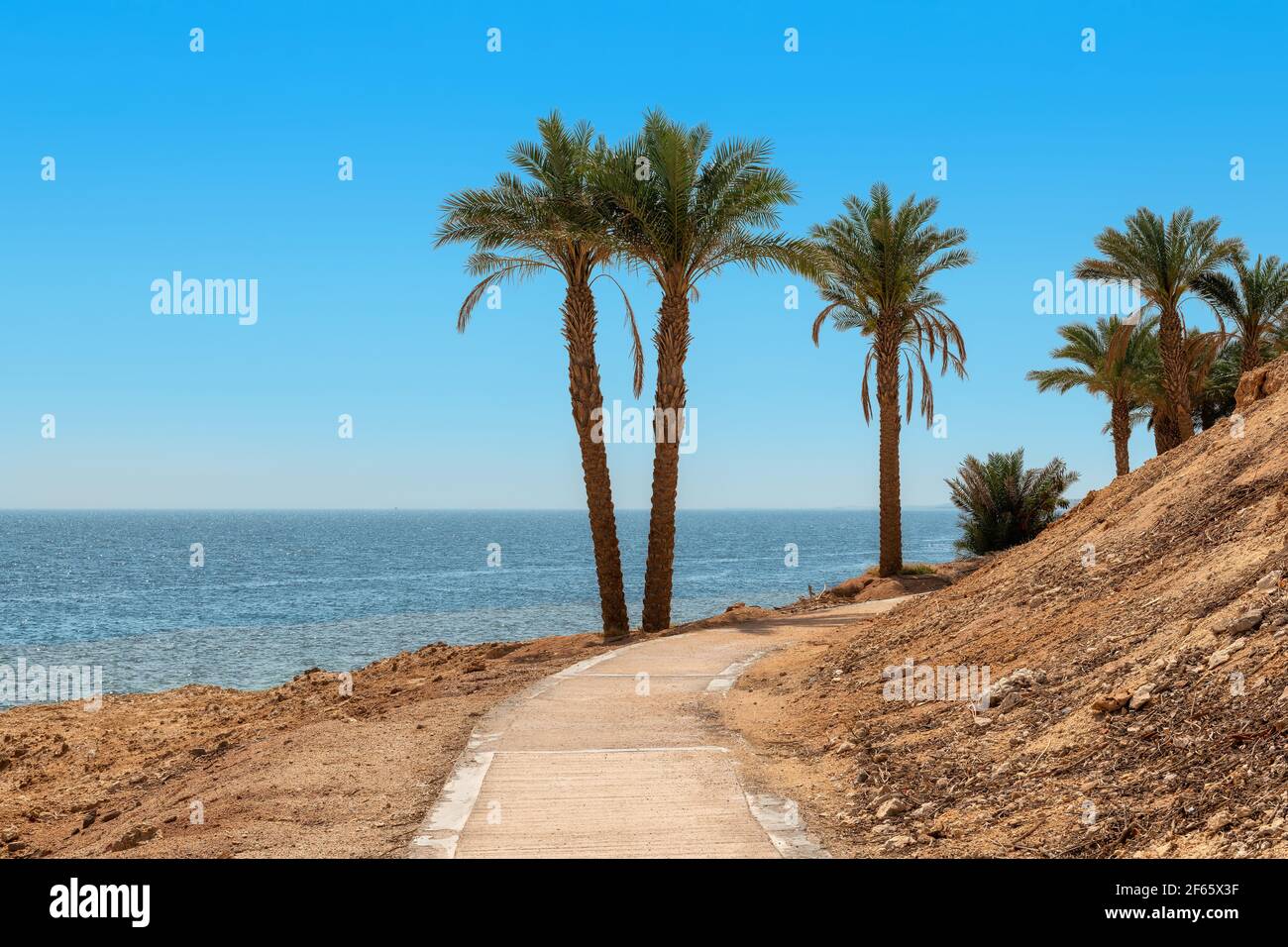 Passeggiata sulla spiaggia di palme immagini e fotografie stock ad alta ...