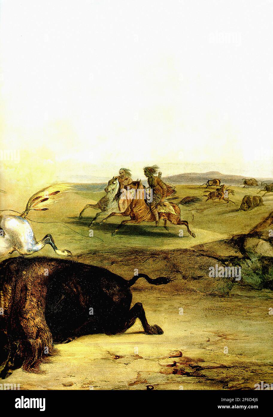 Indiani alla caccia del bisonte immagini e fotografie stock ad alta ...