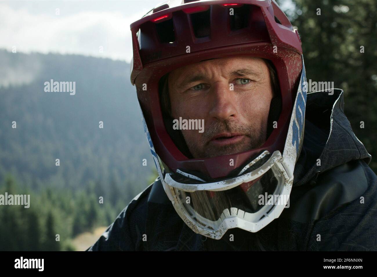 Gail harvey immagini e fotografie stock ad alta risoluzione - Alamy