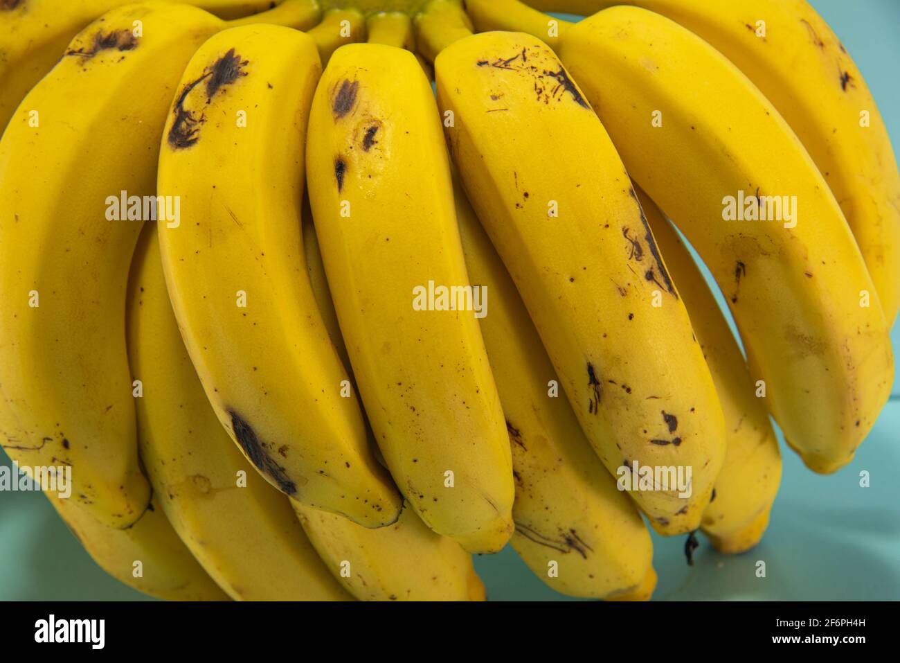 Mazzo di banane mature pronte per il consumo su sfondo blu. Fonte ...