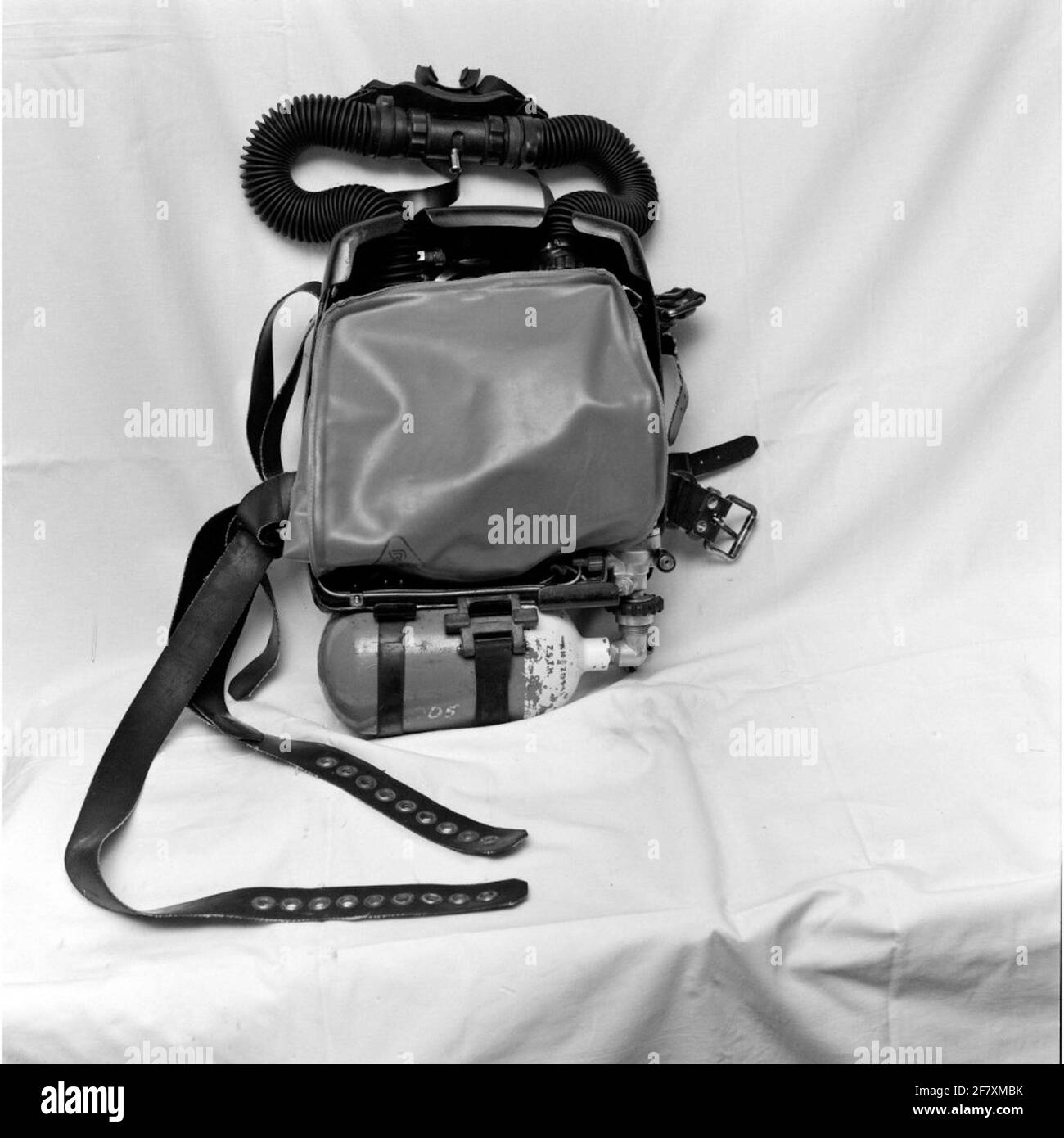 Uomo e rana Foto e Immagini Stock in Bianco e Nero - Alamy