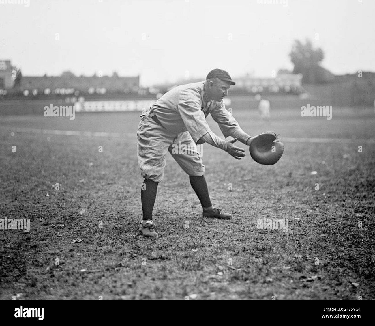 Terra di grover cleveland immagini e fotografie stock ad alta ...