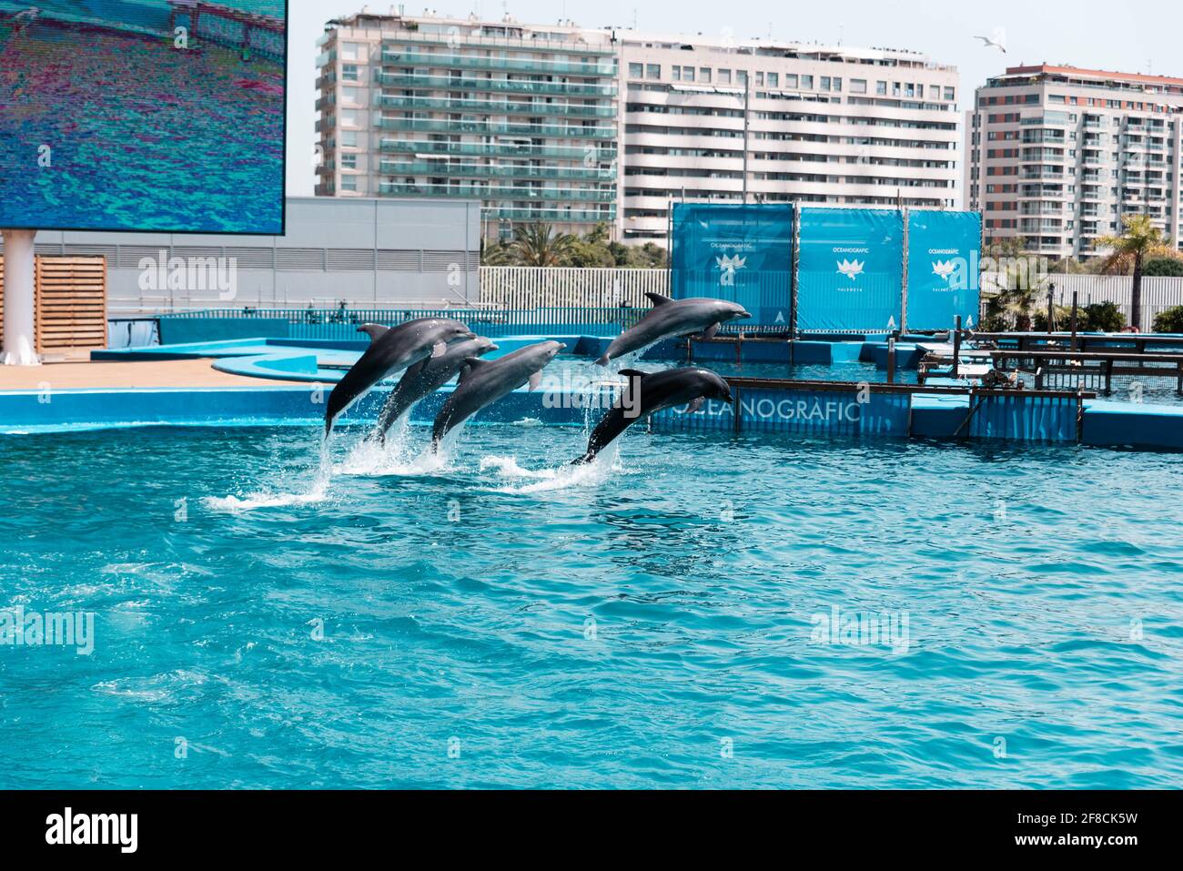 Seaworld spagnolo immagini e fotografie stock ad alta risoluzione - Alamy