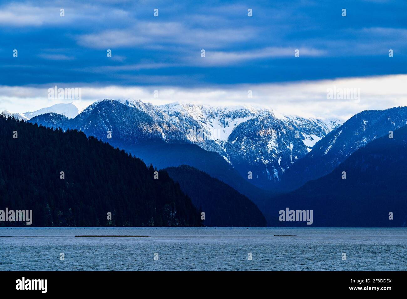 Pitt-Lake, Pitt Meadows, British Columbia, Canada Foto stock - Alamy