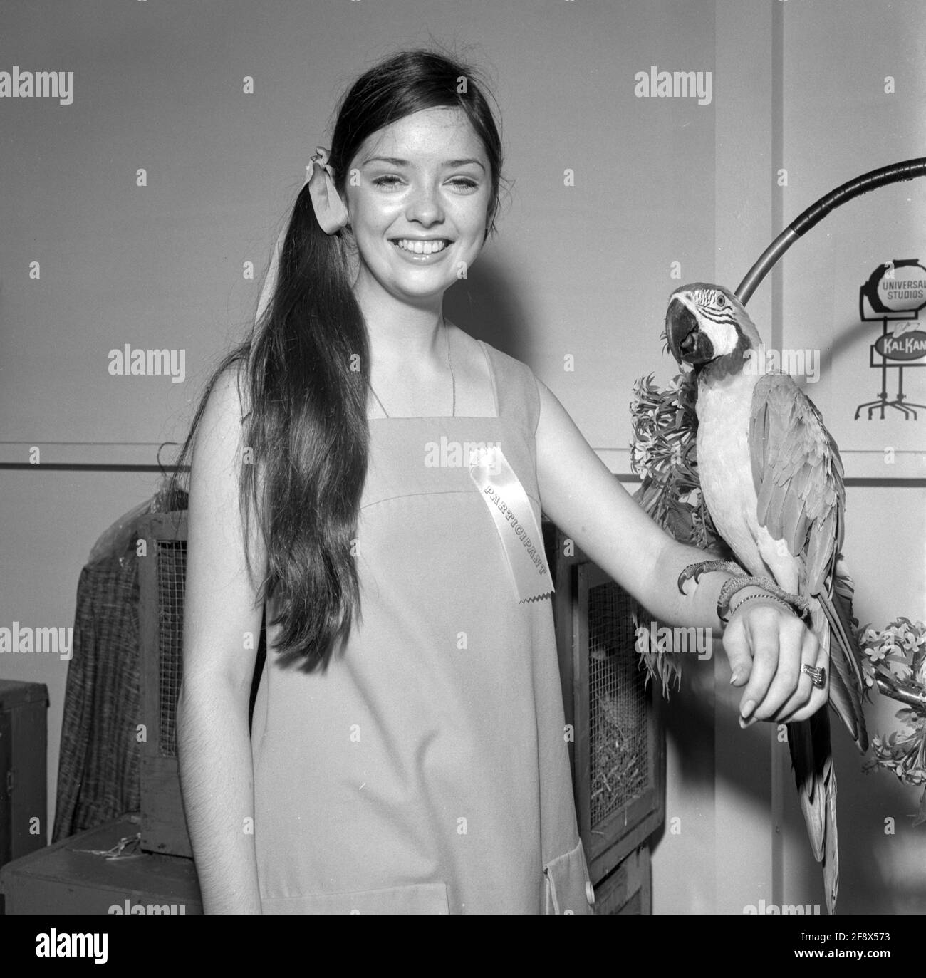 Angela cartwright immagini e fotografie stock ad alta risoluzione - Alamy