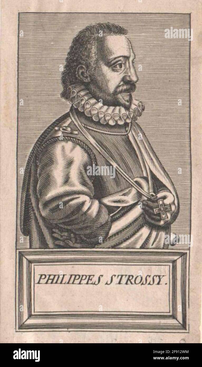 Famiglia strozzi immagini e fotografie stock ad alta risoluzione - Alamy