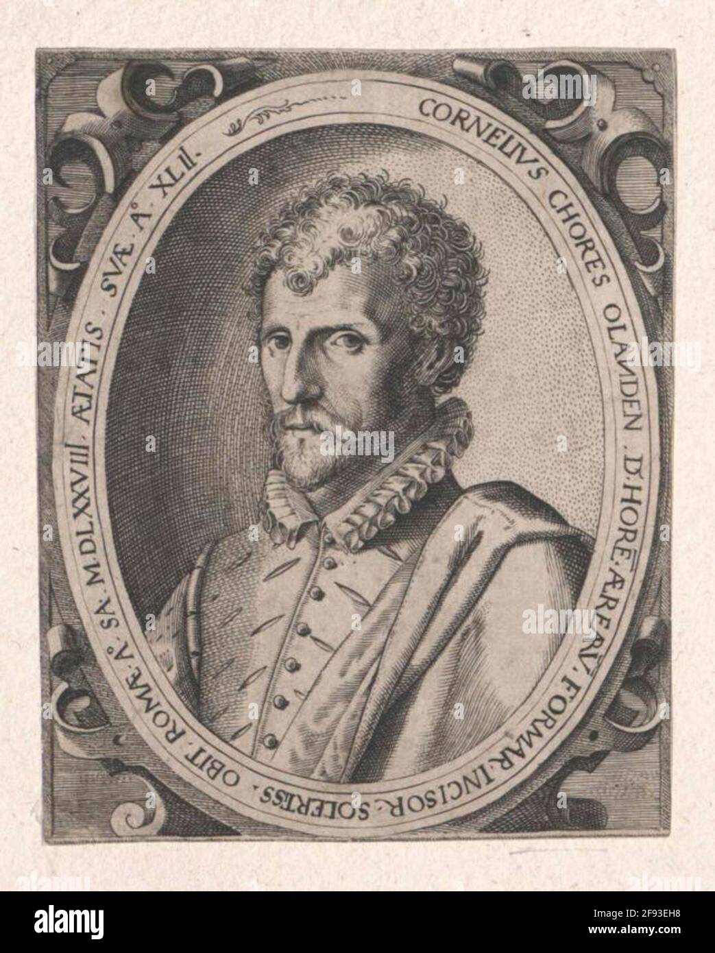 Artista cornelis cort immagini e fotografie stock ad alta risoluzione ...