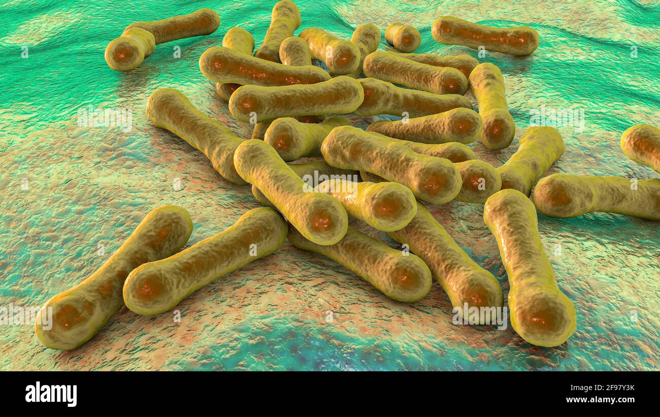 Corynebacterium diphtheriae bacteria immagini e fotografie stock ad ...
